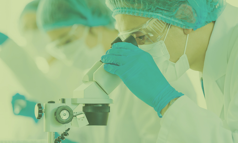 Weekly Wealth Report - Capital Wealth Alliance, LLC